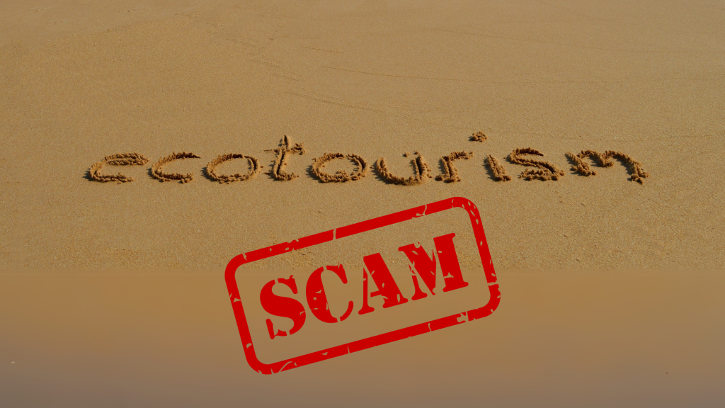 Is Ecotourism a Scam? - Nature Conscious Tourism Initiative
