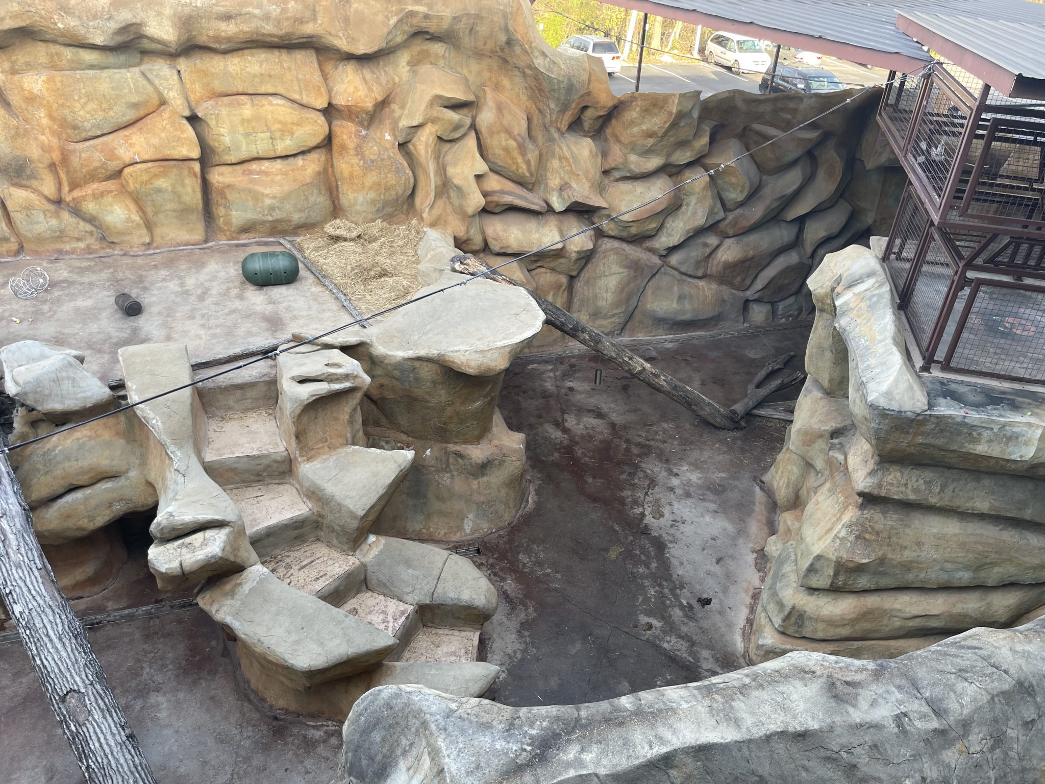 How to Fight Back Against Unethical Zoos - Nature Conscious Tourism ...